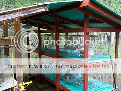 Setting up a rabbitry | Homesteading Forum